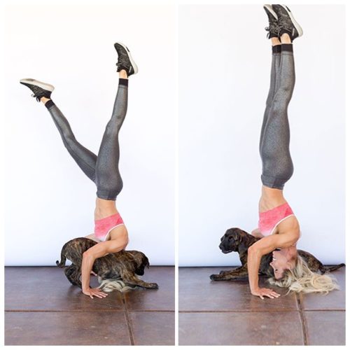 Panting w/ Your Puppy! Workout Ideas + a Million Doggone Reasons for ...